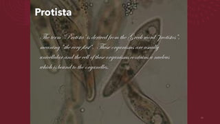 Morphological organization and cell structure of Micro-organisms. | PDF