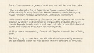 Micro-organisms important in Food Microbiology. Bacteria, Yeast, Molds ...
