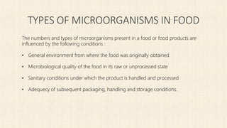 Types Of Bacteria In Food