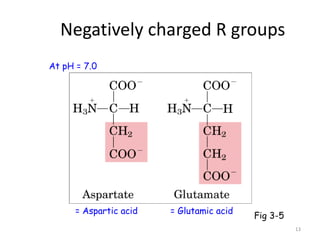 20 Amino Acids | PPT