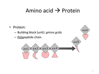 20 Amino Acids | PPT