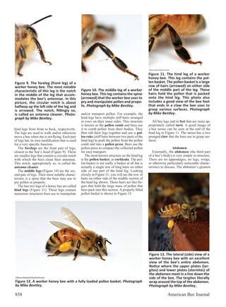 20,-August-2015,-External-Anatomy,-low-res.pdf