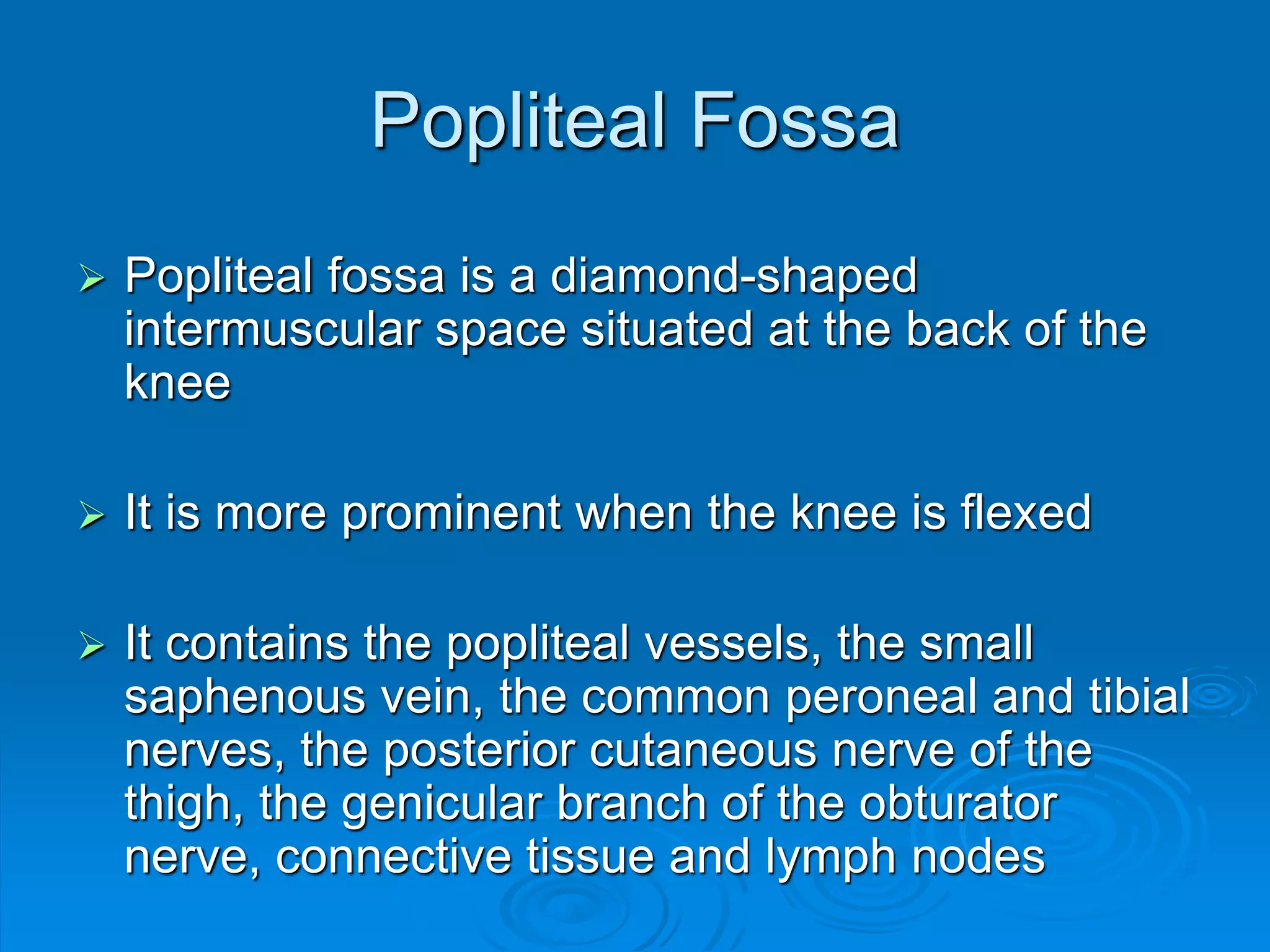 Popliteal Fossa.ppt