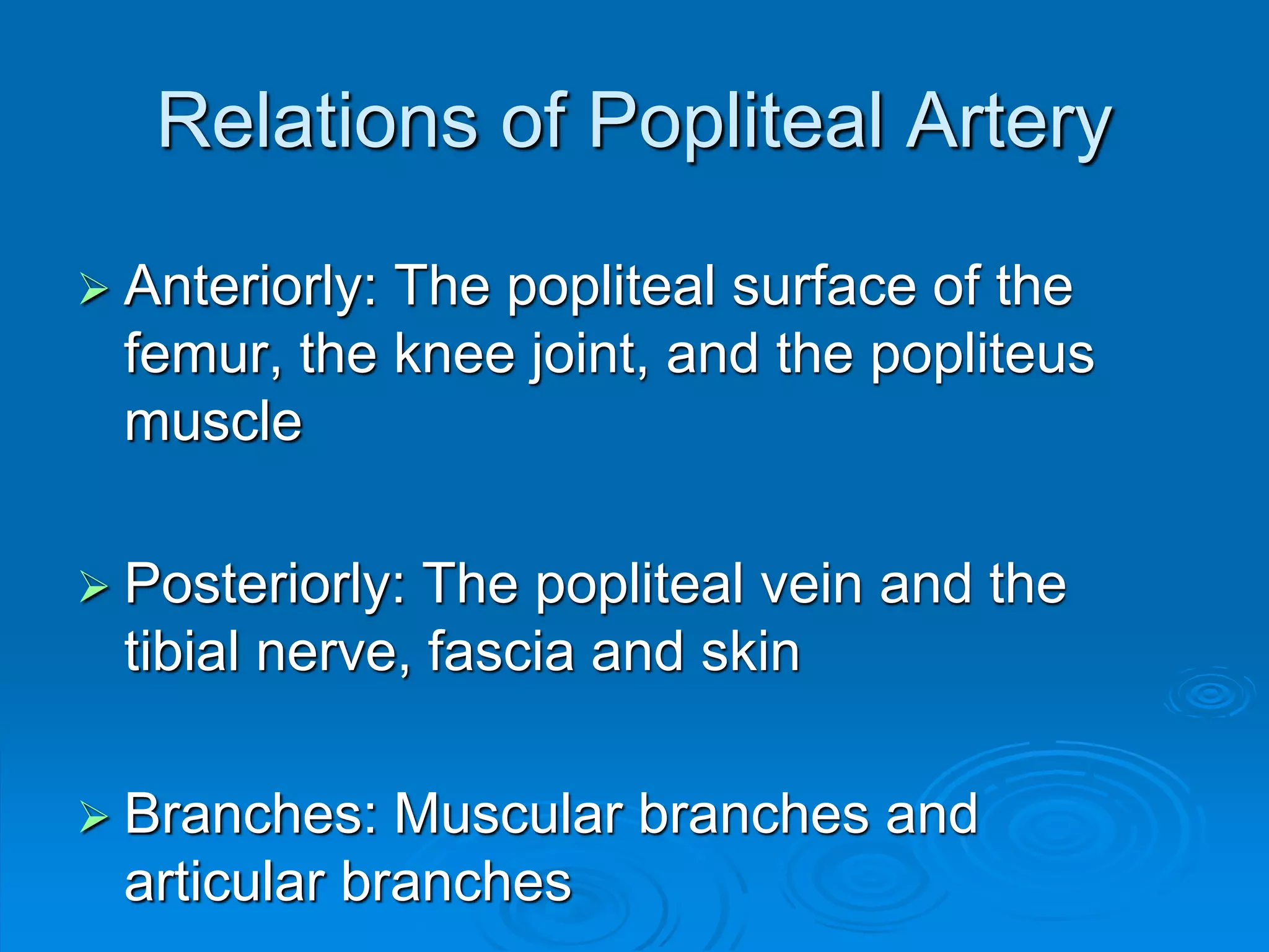 Popliteal Fossa.ppt