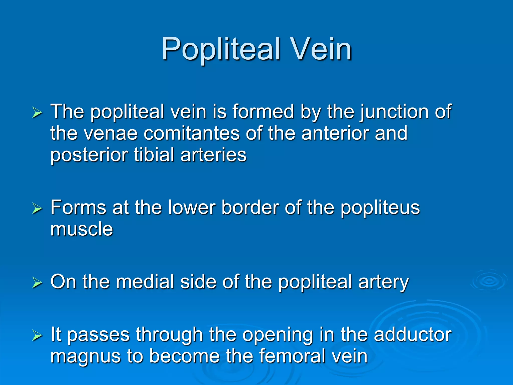 Popliteal Fossa.ppt