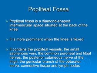 Popliteal Fossa.ppt
