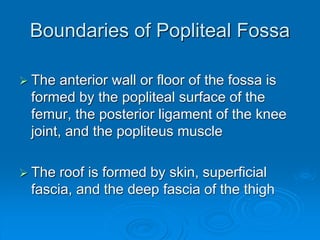 Popliteal Fossa.ppt