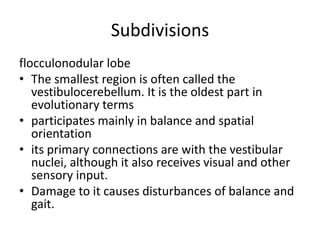 20. cerebellum | PPTX
