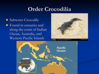 20. Class Reptilia Notes | PPT