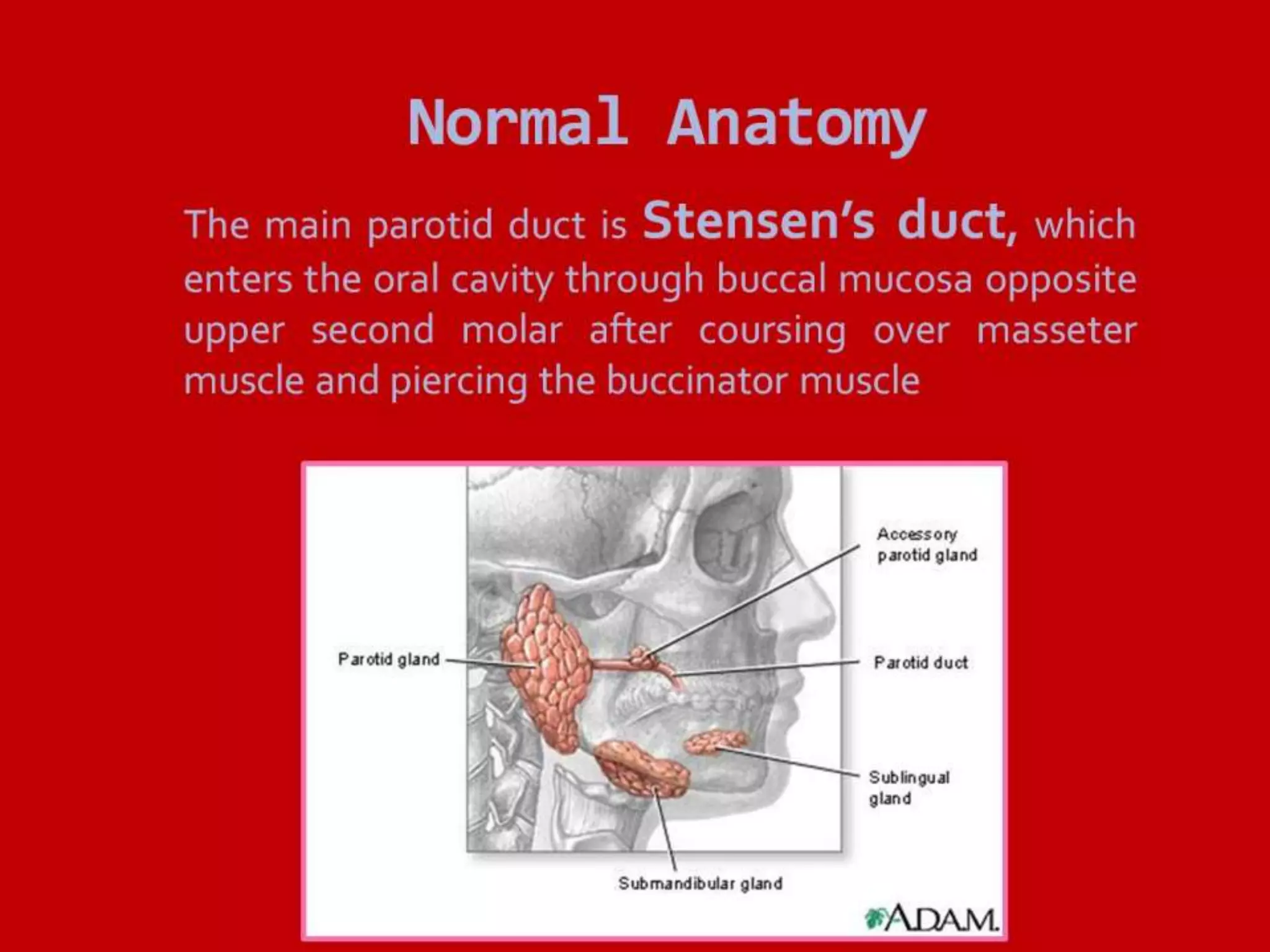 20 Dr Ahmed Esawy imaging oral board of salivary gland imaging | PPT ...