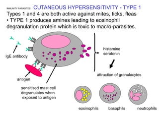 20-immunity-parasites.ppt