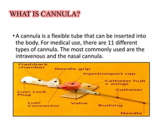 IV Cannulation | PPTX