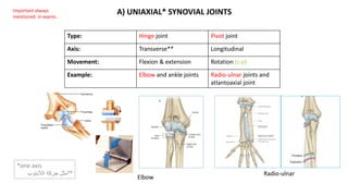 20-Joints and anatomy of these joints.pdf