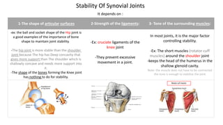 20-Joints and anatomy of these joints.pdf