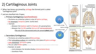 20-Joints and anatomy of these joints.pdf
