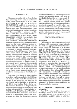 20 morchella-fluvialis-bsmm-0001 (1) | PDF