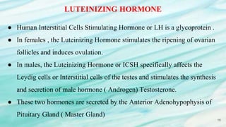 Hormonal Control of Reproductive Process in Females | PPTX