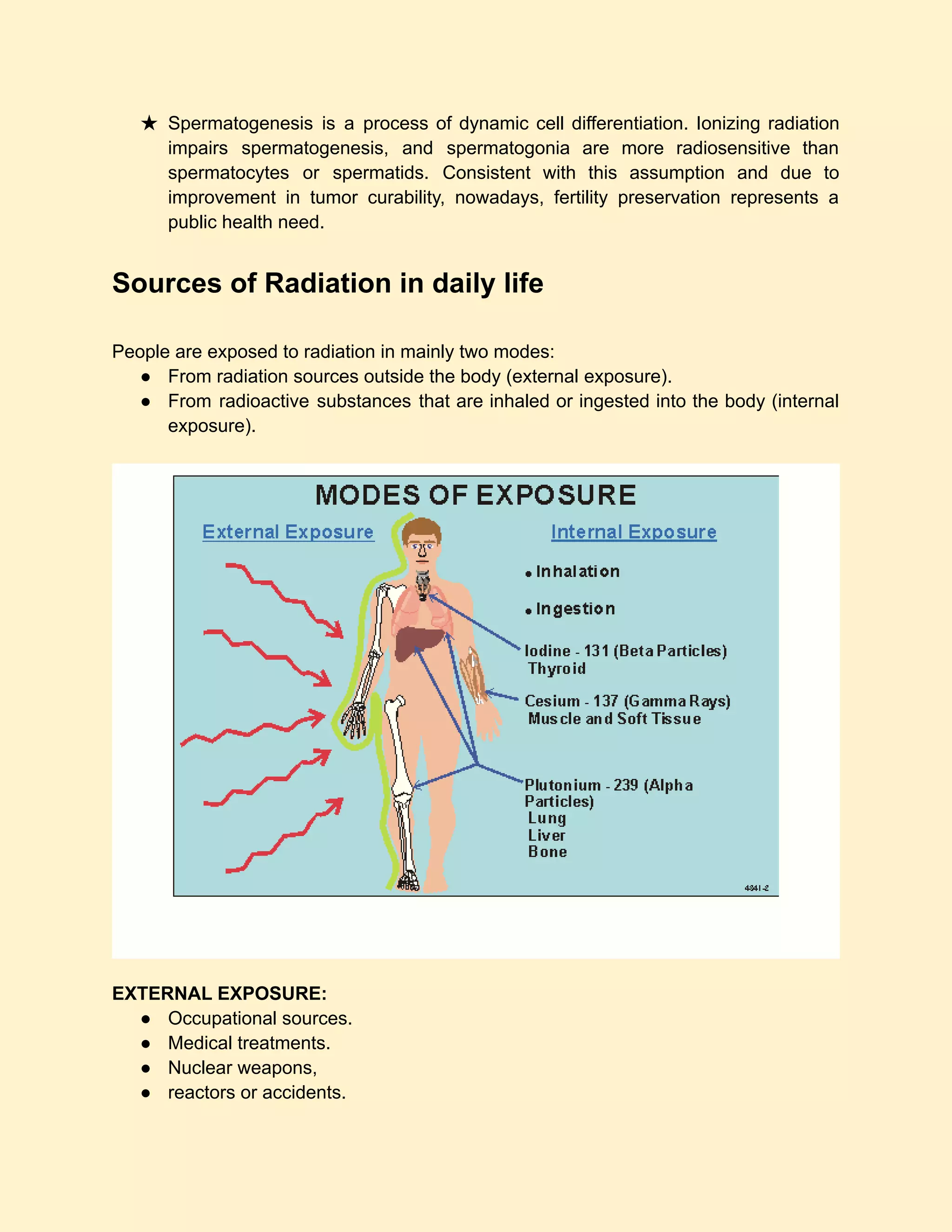 Radiation Biology- Effect of Radiations on Male Reproductive System | PDF