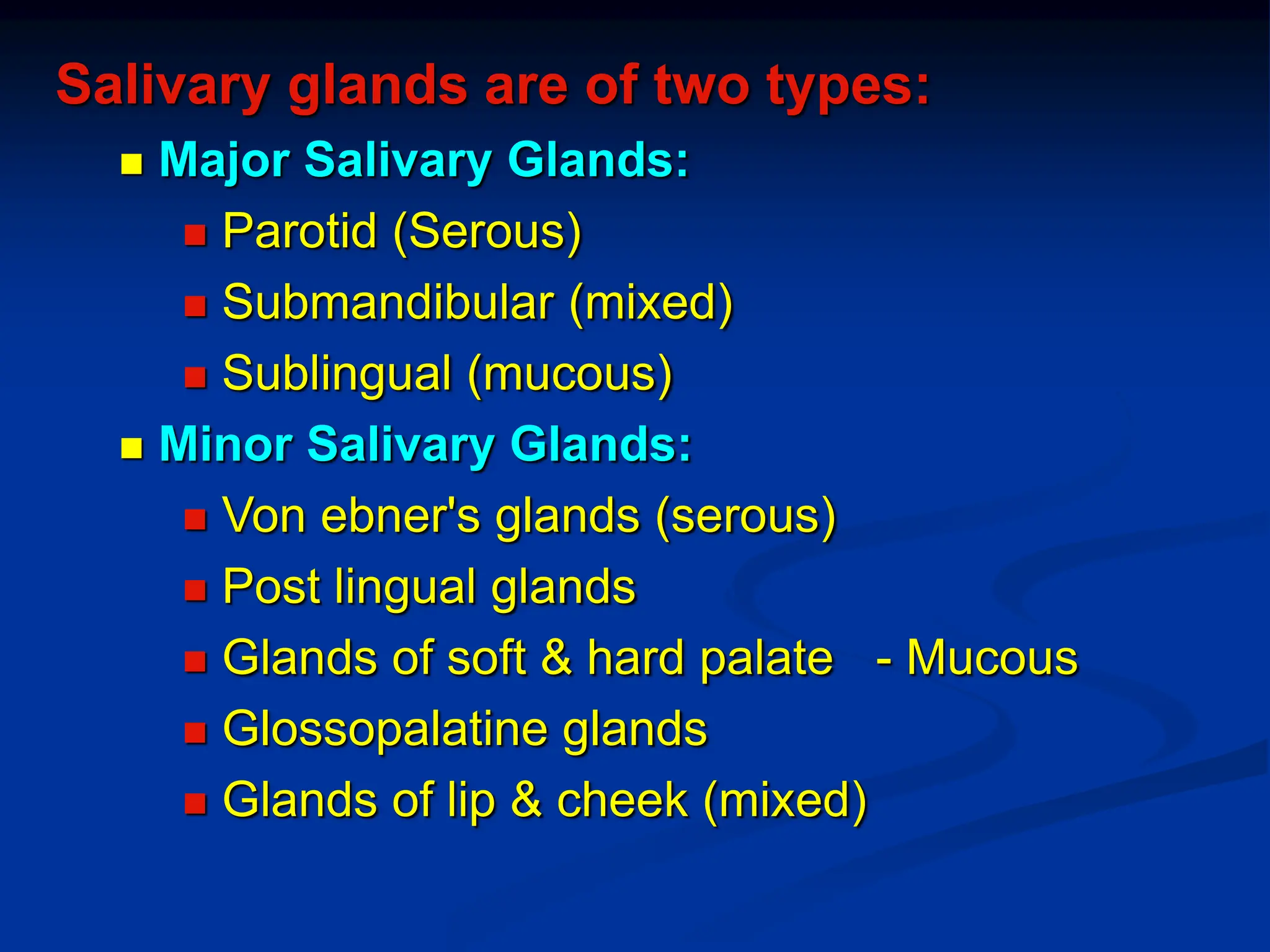 20-SALIVARY GLANDS ANATOMY SLIDESSS@.ppt