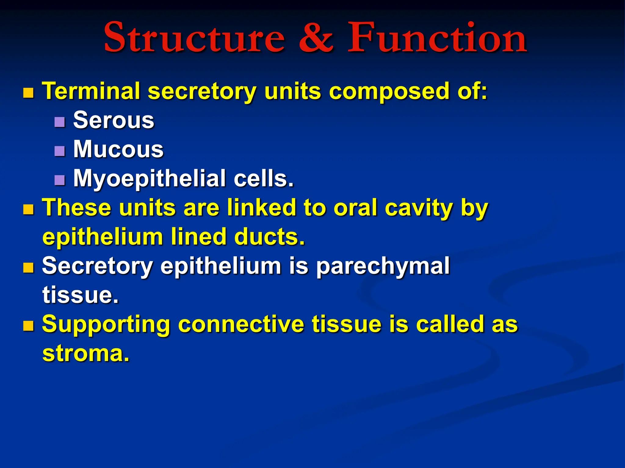 20-SALIVARY GLANDS ANATOMY SLIDESSS@.ppt