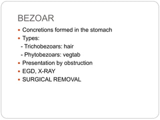 20- Stomach & duodenum for anatomy students | PPT