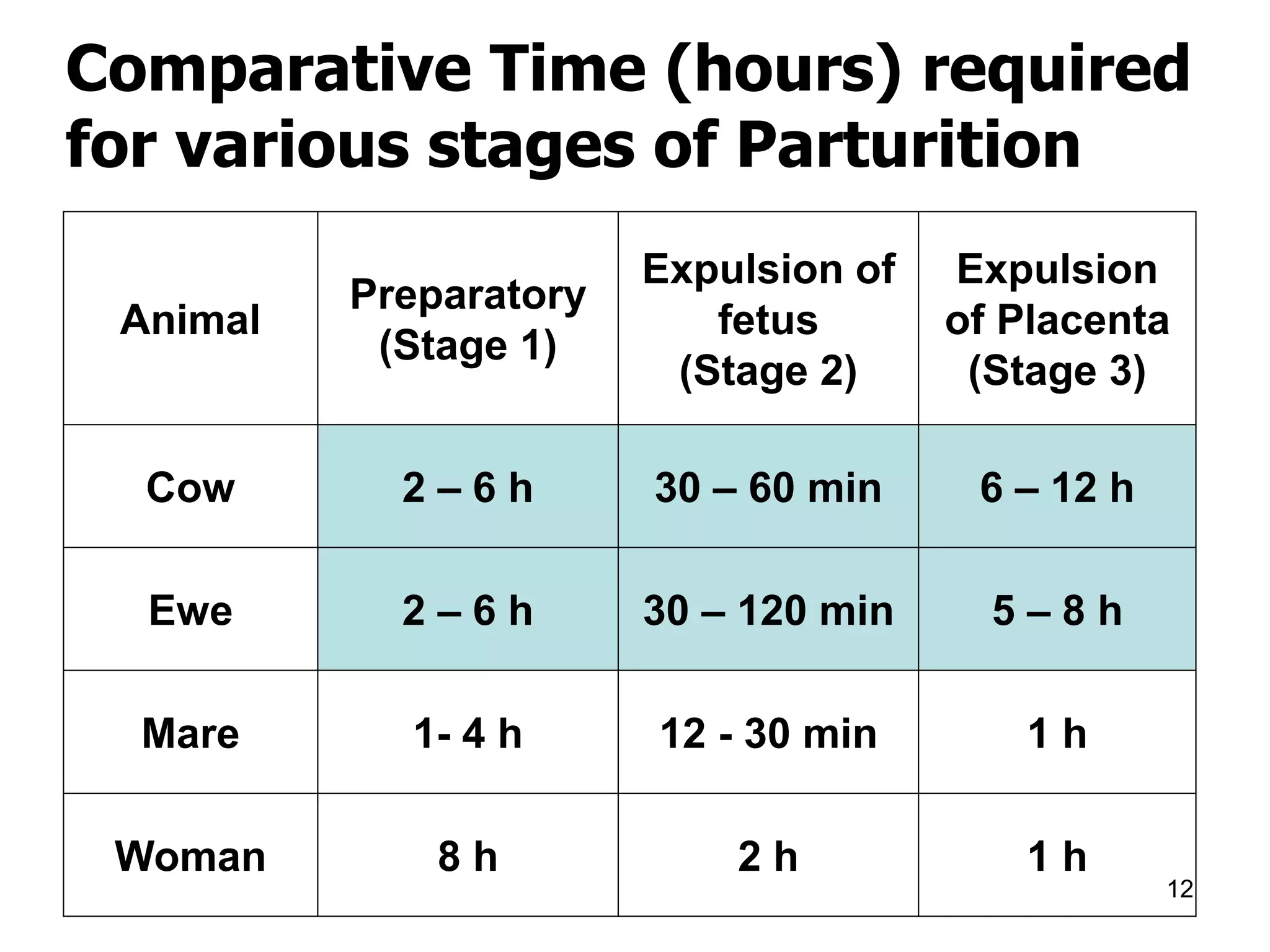 20 ther 608 parturition | PPT