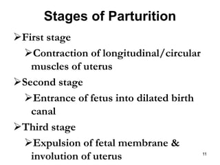 20 ther 608 parturition | PPT