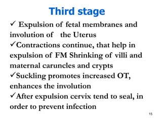 20 ther 608 parturition | PPT