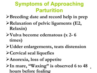 20 ther 608 parturition | PPT