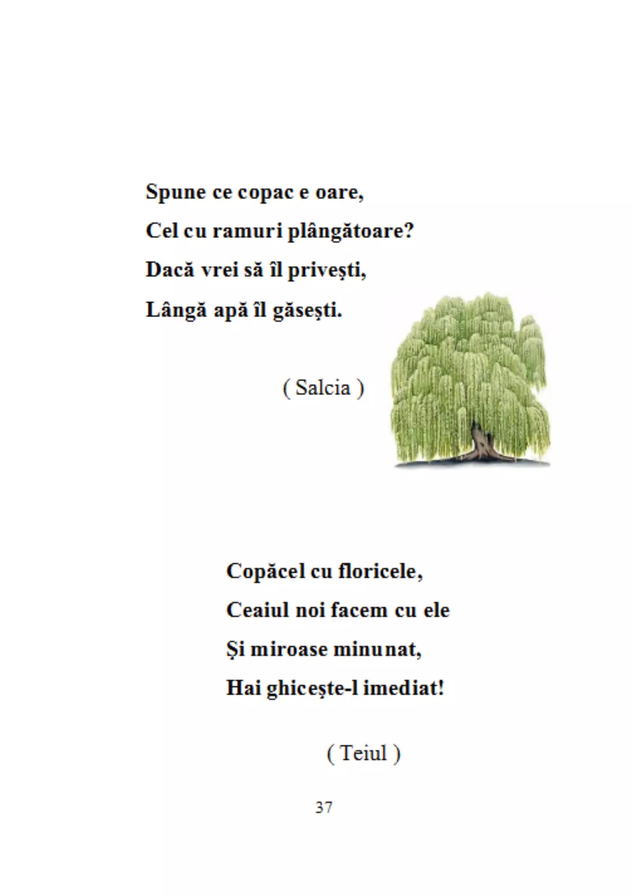 200 de-ghicitori-pentru-copii | PDF