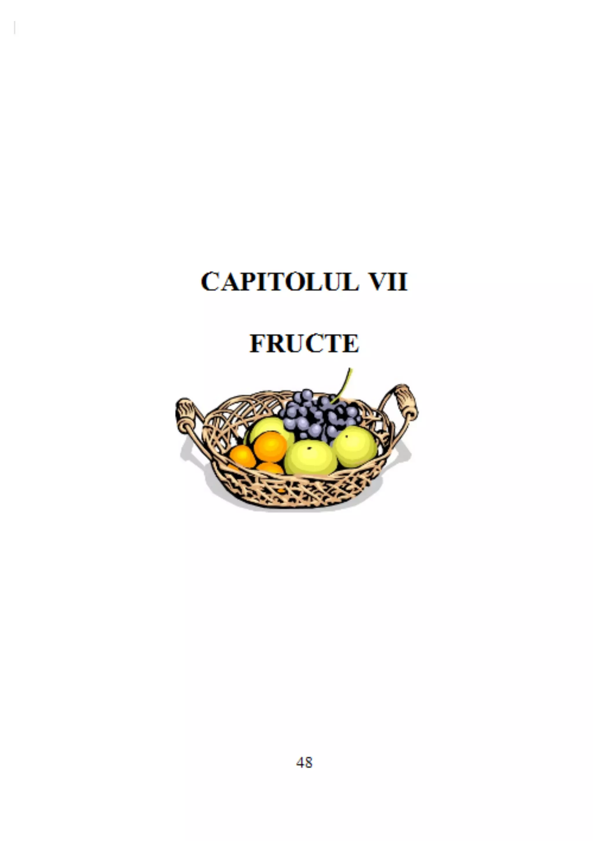 200 de-ghicitori-pentru-copii | PDF