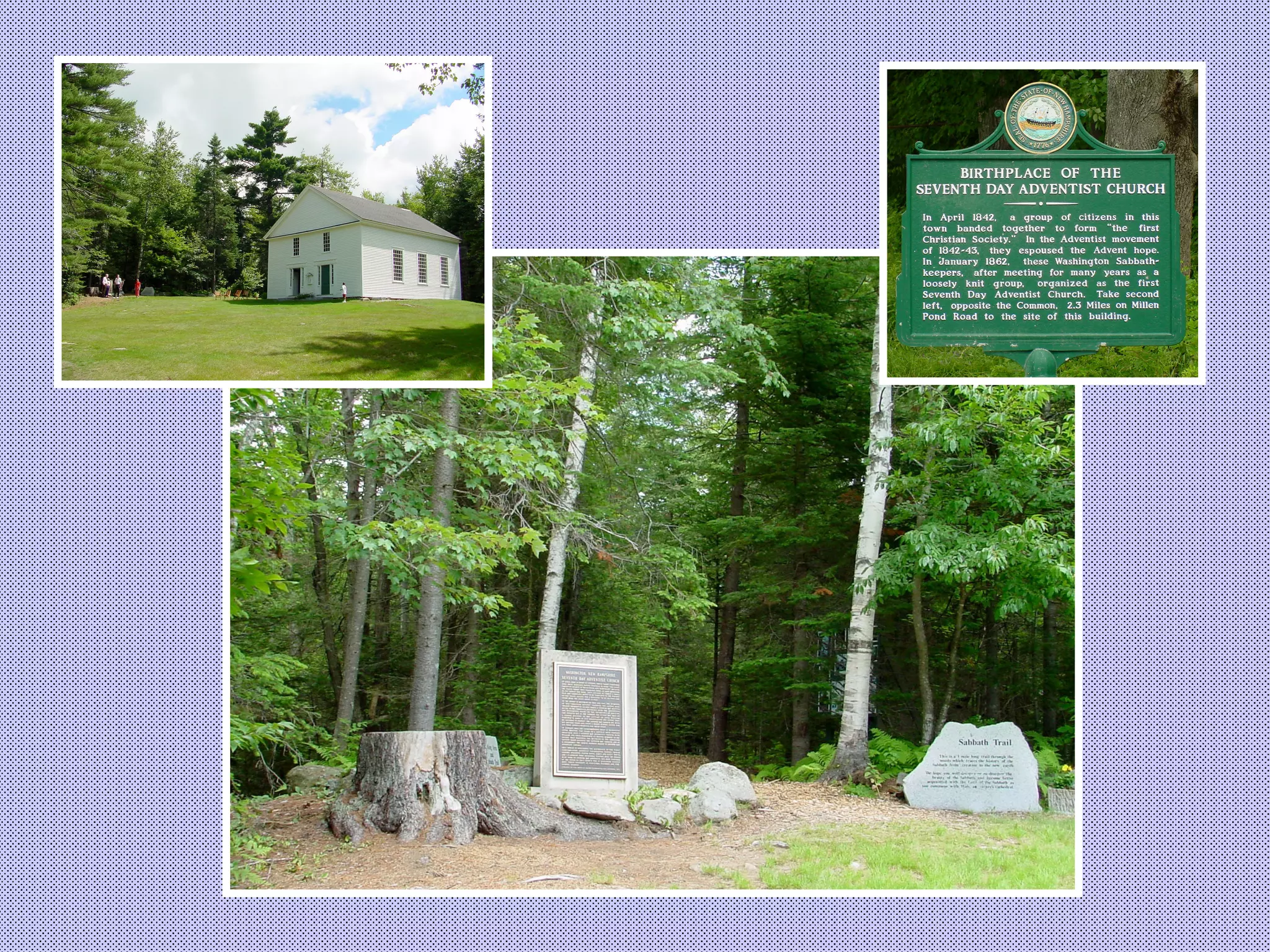 Highlights of 2001 | PPT