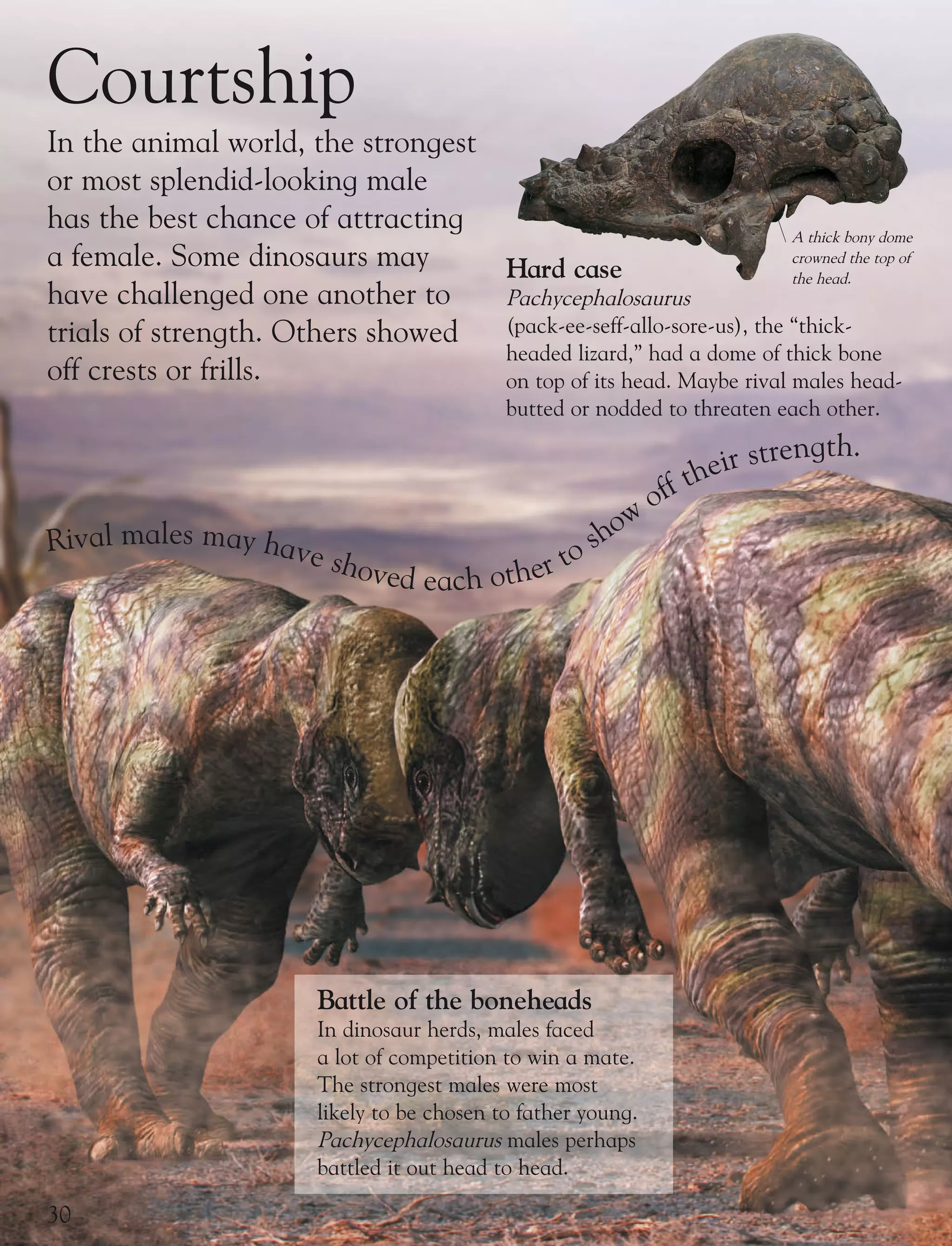 2001 - Dinosaur (ENG).pdf