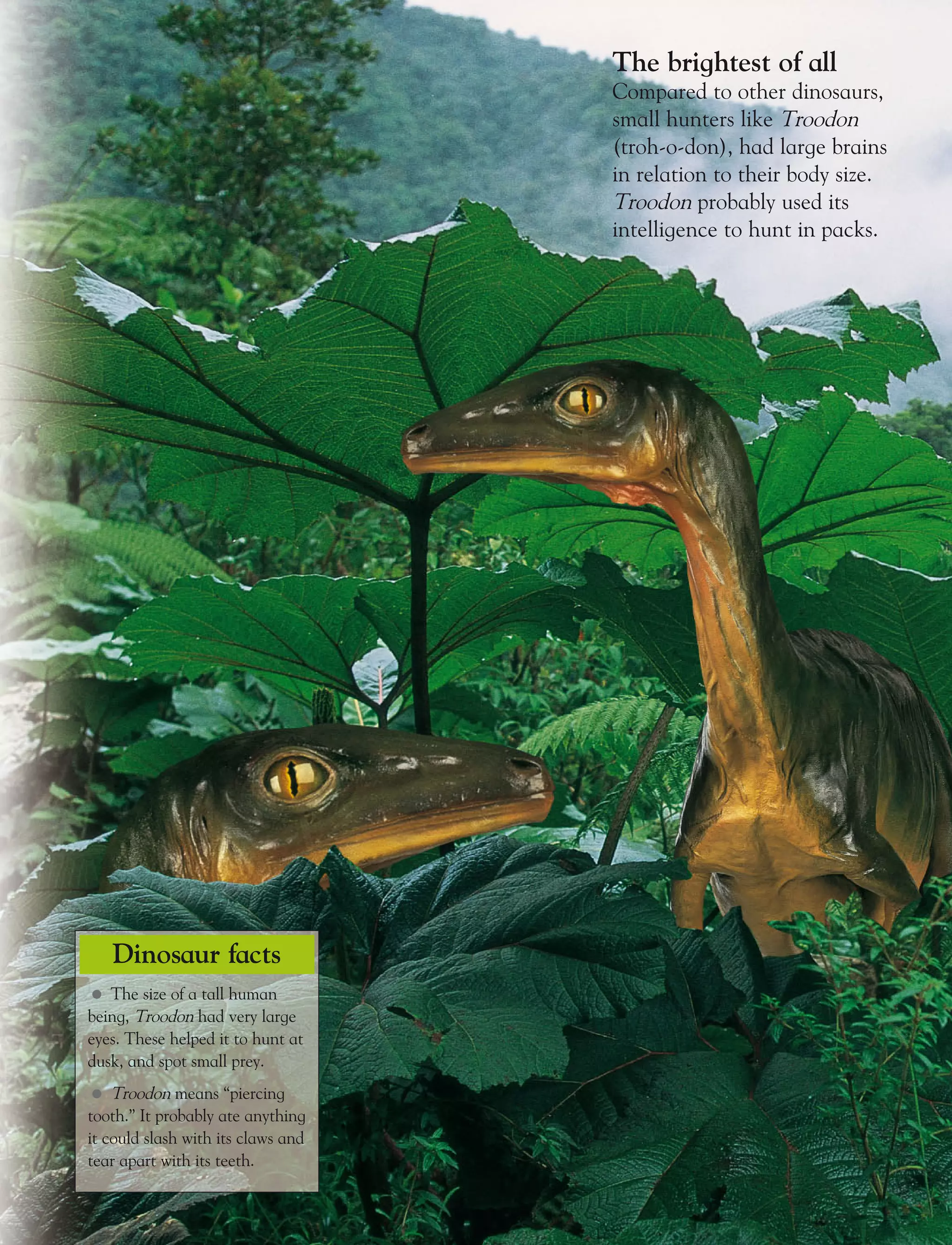 2001 - Dinosaur (ENG).pdf