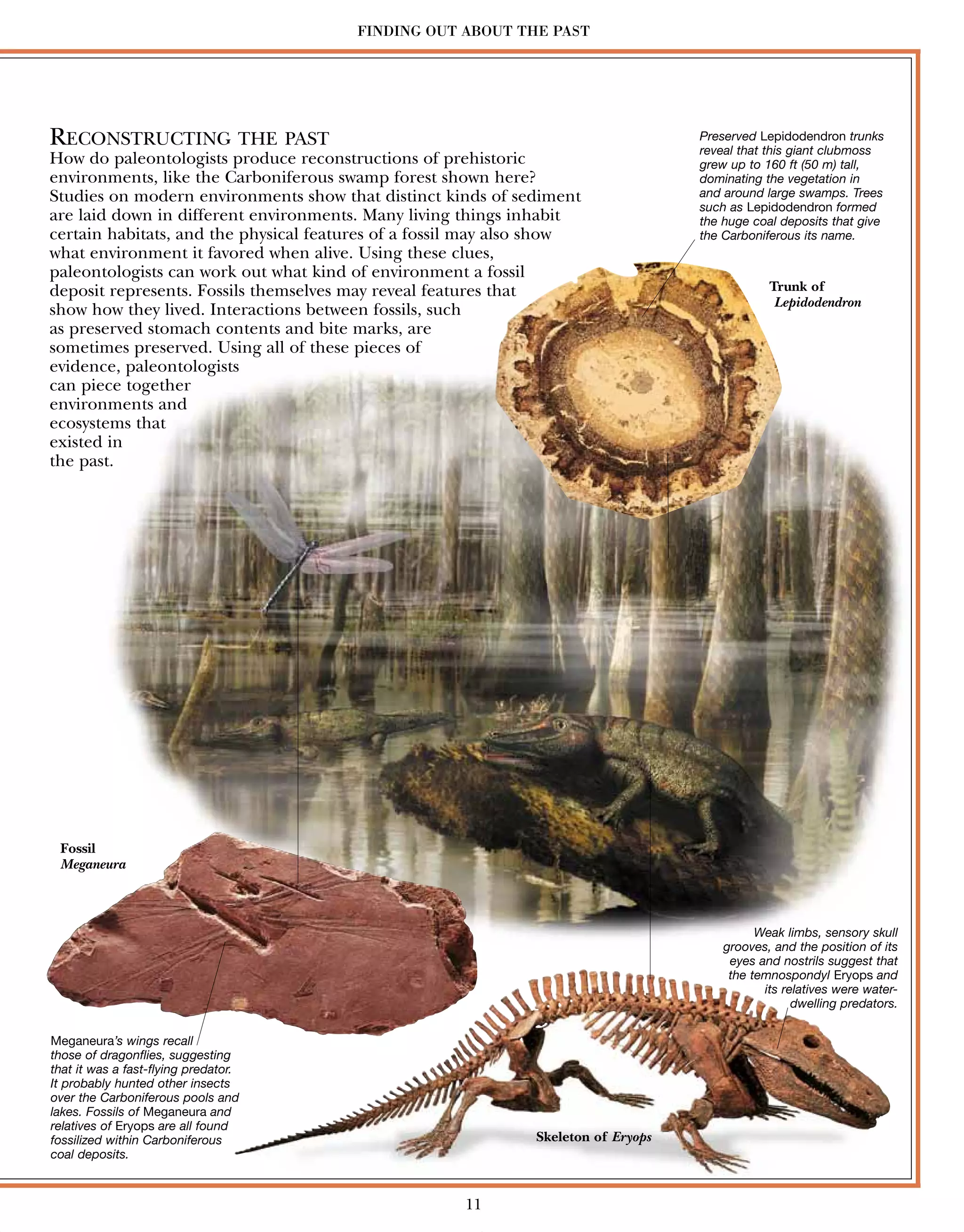 2001 - Encyclopedia of Dinosaurs and Prehistoric Life (ENG).pdf