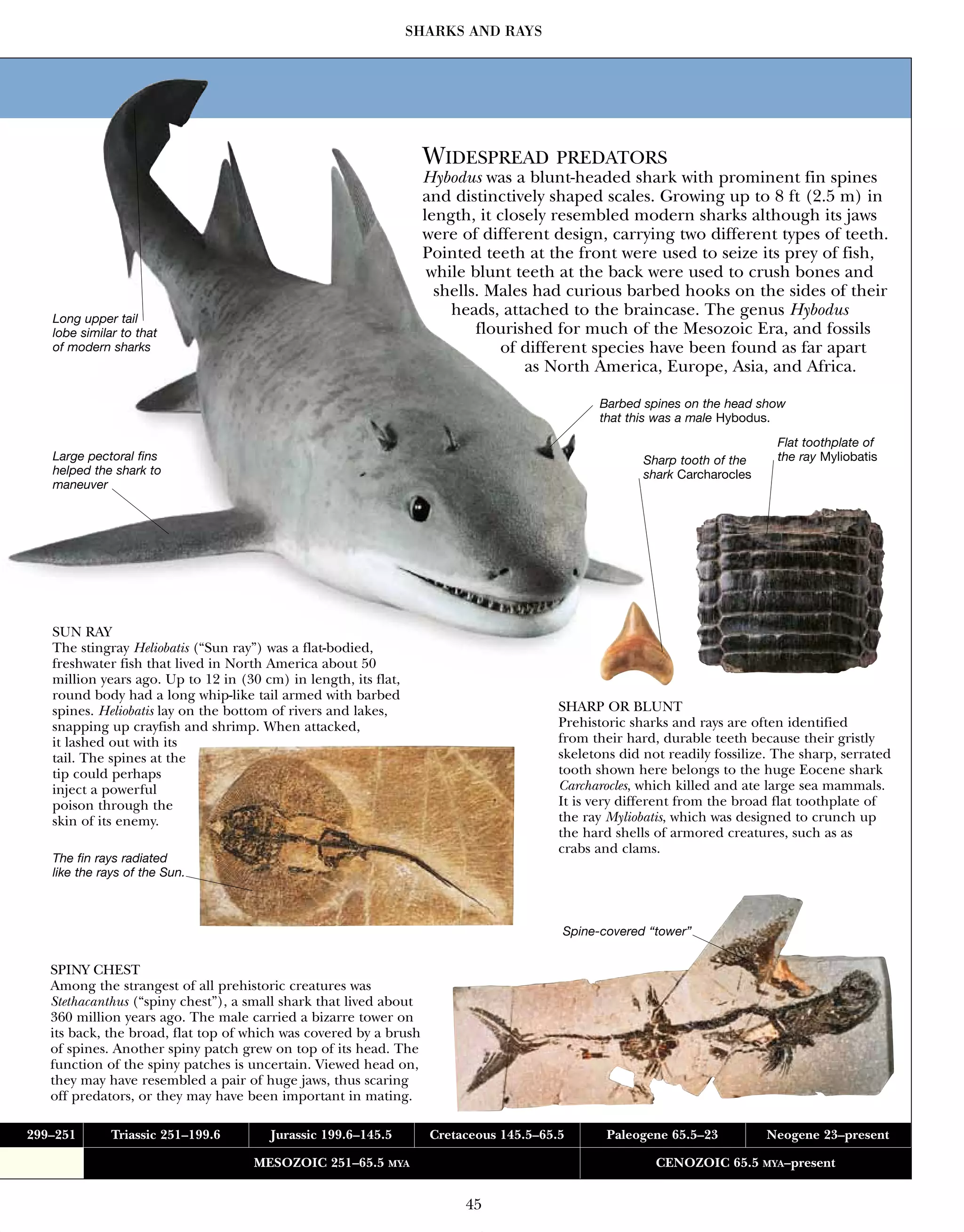 2001 - Encyclopedia of Dinosaurs and Prehistoric Life (ENG).pdf