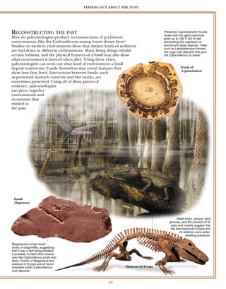 2001 - Encyclopedia of Dinosaurs and Prehistoric Life (ENG).pdf