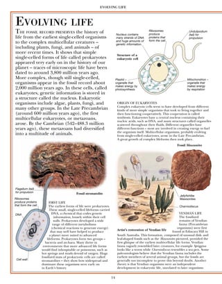 2001 - Encyclopedia of Dinosaurs and Prehistoric Life (ENG).pdf