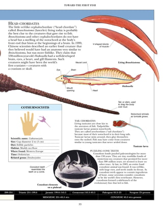 2001 - Encyclopedia of Dinosaurs and Prehistoric Life (ENG).pdf