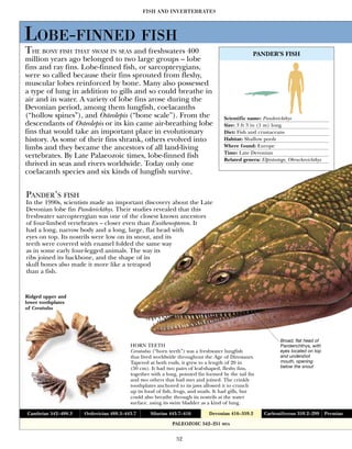 2001 - Encyclopedia of Dinosaurs and Prehistoric Life (ENG).pdf