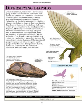 2001 - Encyclopedia of Dinosaurs and Prehistoric Life (ENG).pdf