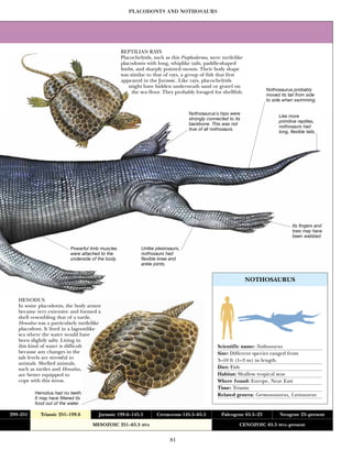 2001 - Encyclopedia of Dinosaurs and Prehistoric Life (ENG).pdf