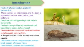 problem caused by arthropods | PPTX