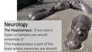 200129 mnemonics | PPTX