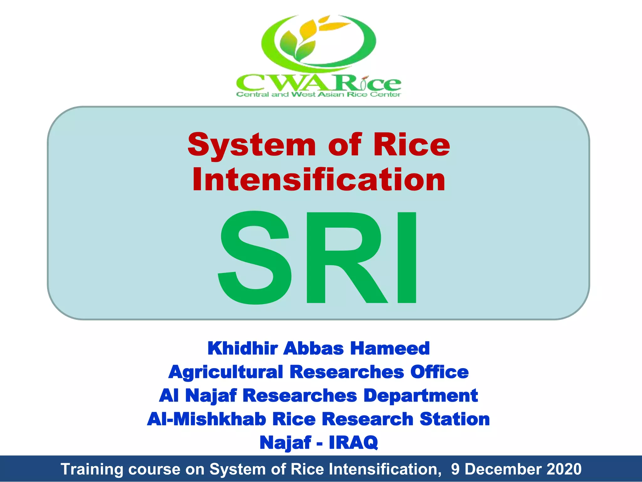 2001 - System of Rice Intensification SRI in Iraq | PPT