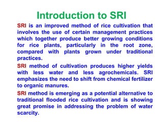 2001 - System of Rice Intensification SRI in Iraq | PPT