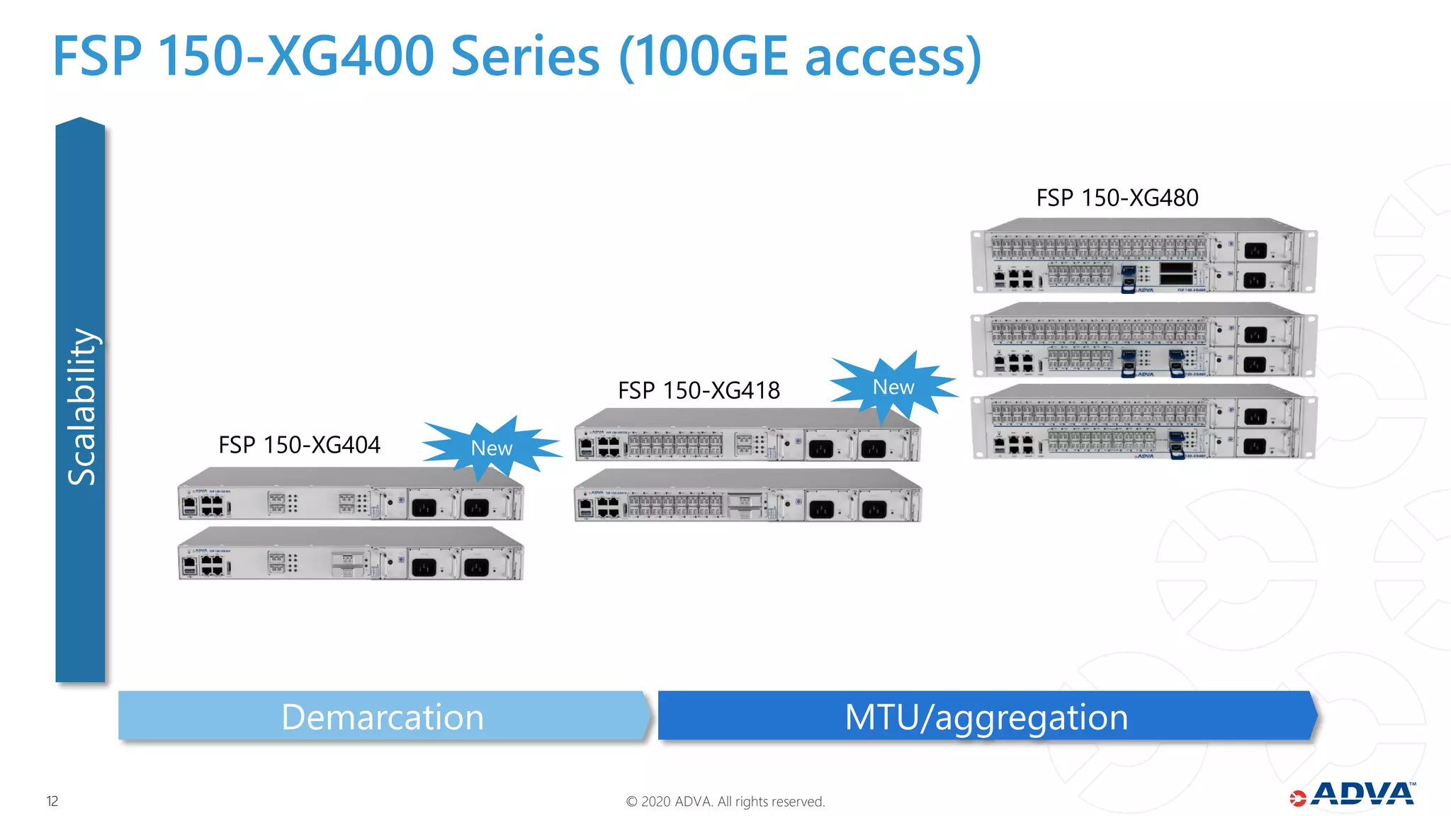 Pushing 100G to the packet edge | PDF