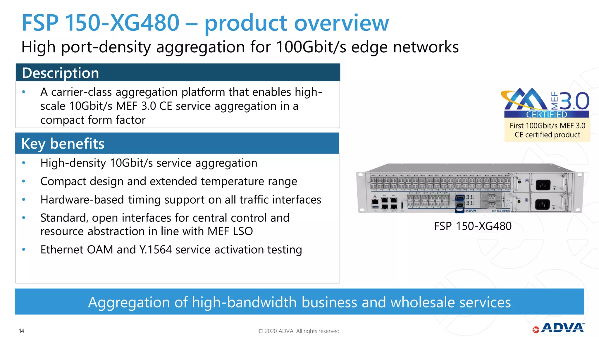 Pushing 100G to the packet edge | PDF