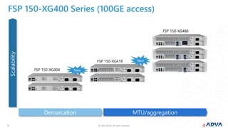 Pushing 100G to the packet edge | PDF