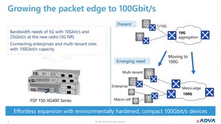 Pushing 100G to the packet edge | PDF